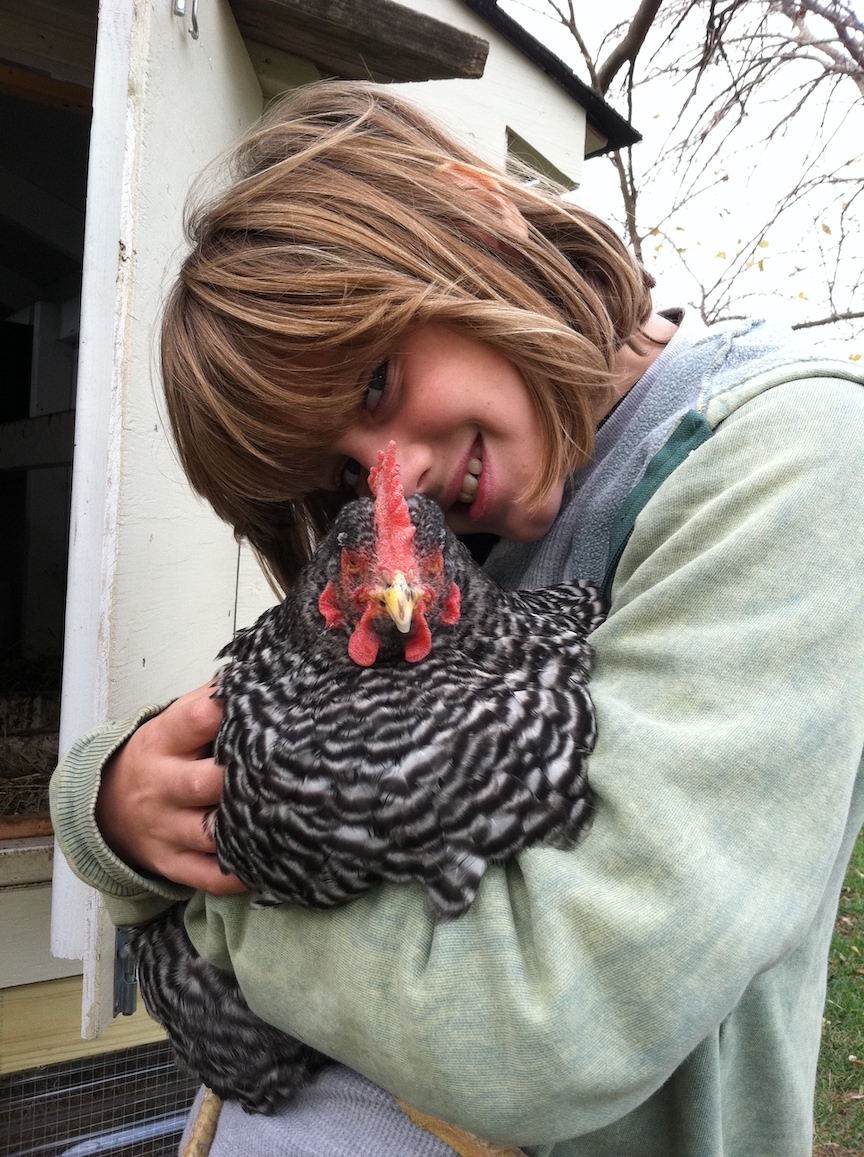 Chicken Fear – Judi Harvin Yoga
